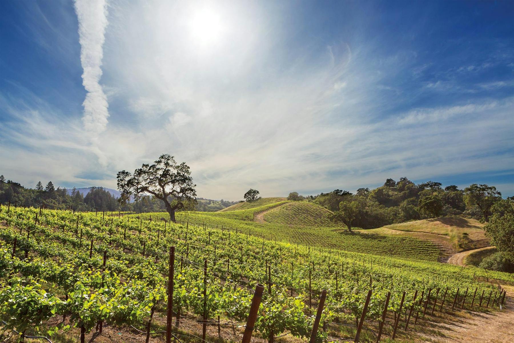 Landmark Vineyards - Hop Kiln Estate - Healdsburg, CA | Tock