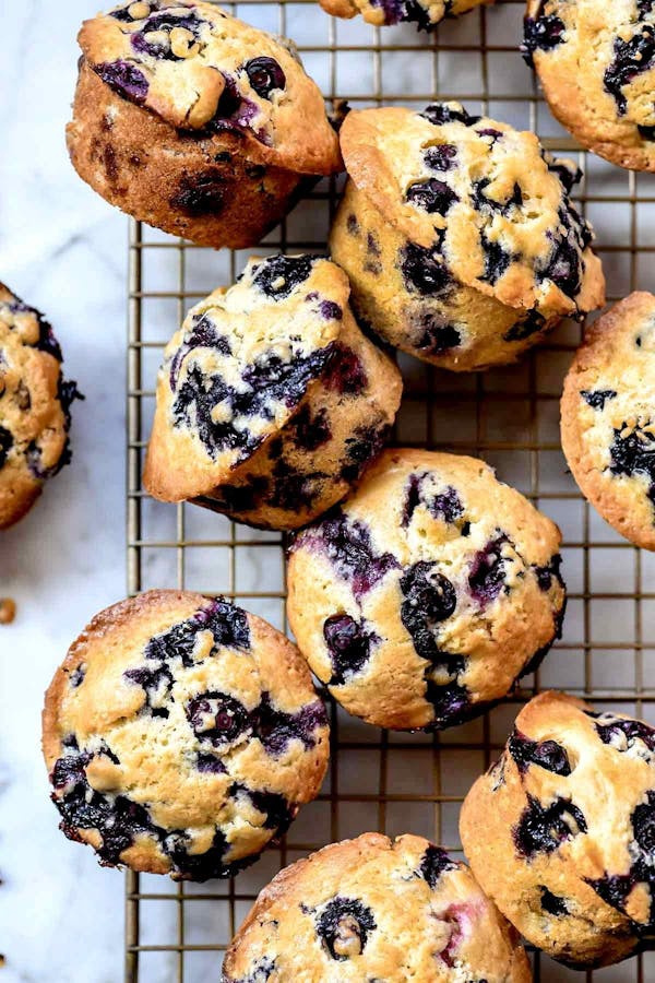 SCCC Culinary Institute & Arbor Restaurant - Newton, NJ | Tock