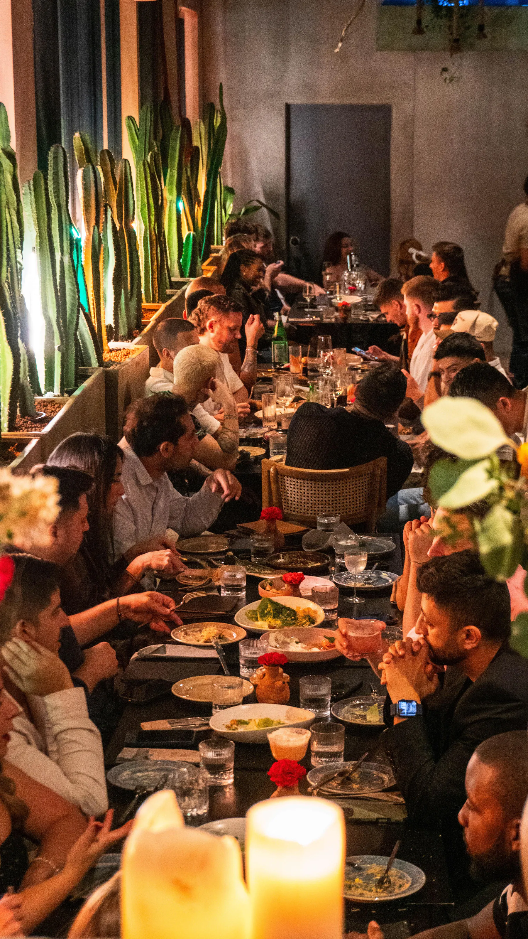 Vera Cocina & بار - Washington, DC | Tock
