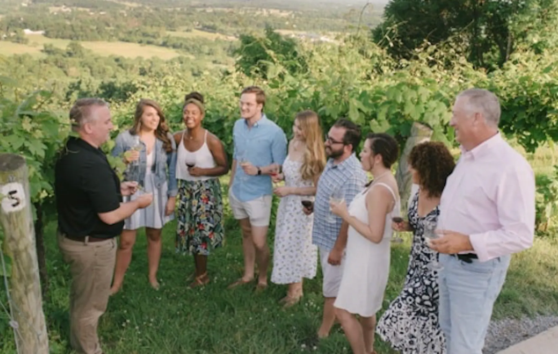 Bluemont Vineyard - Bluemont, VA | Tock