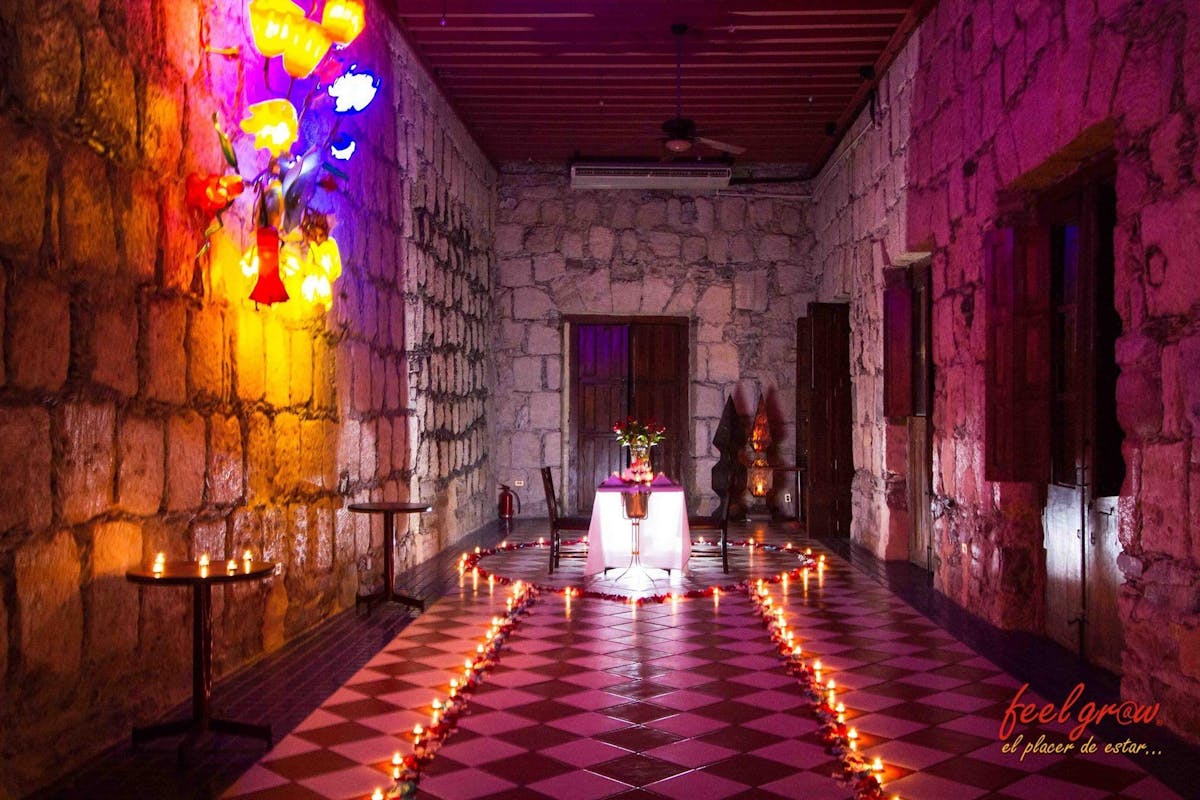 Feelgrow - Monterrey, N.L. | Tock