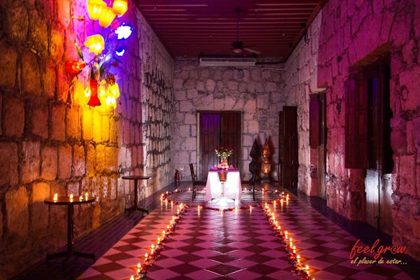 Feelgrow - Monterrey, N.L. | Tock