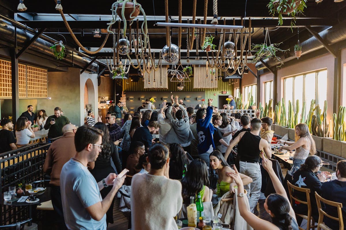 Vera Cocina & بار - Dinner - Main Dining Room Reservation - Washington ...