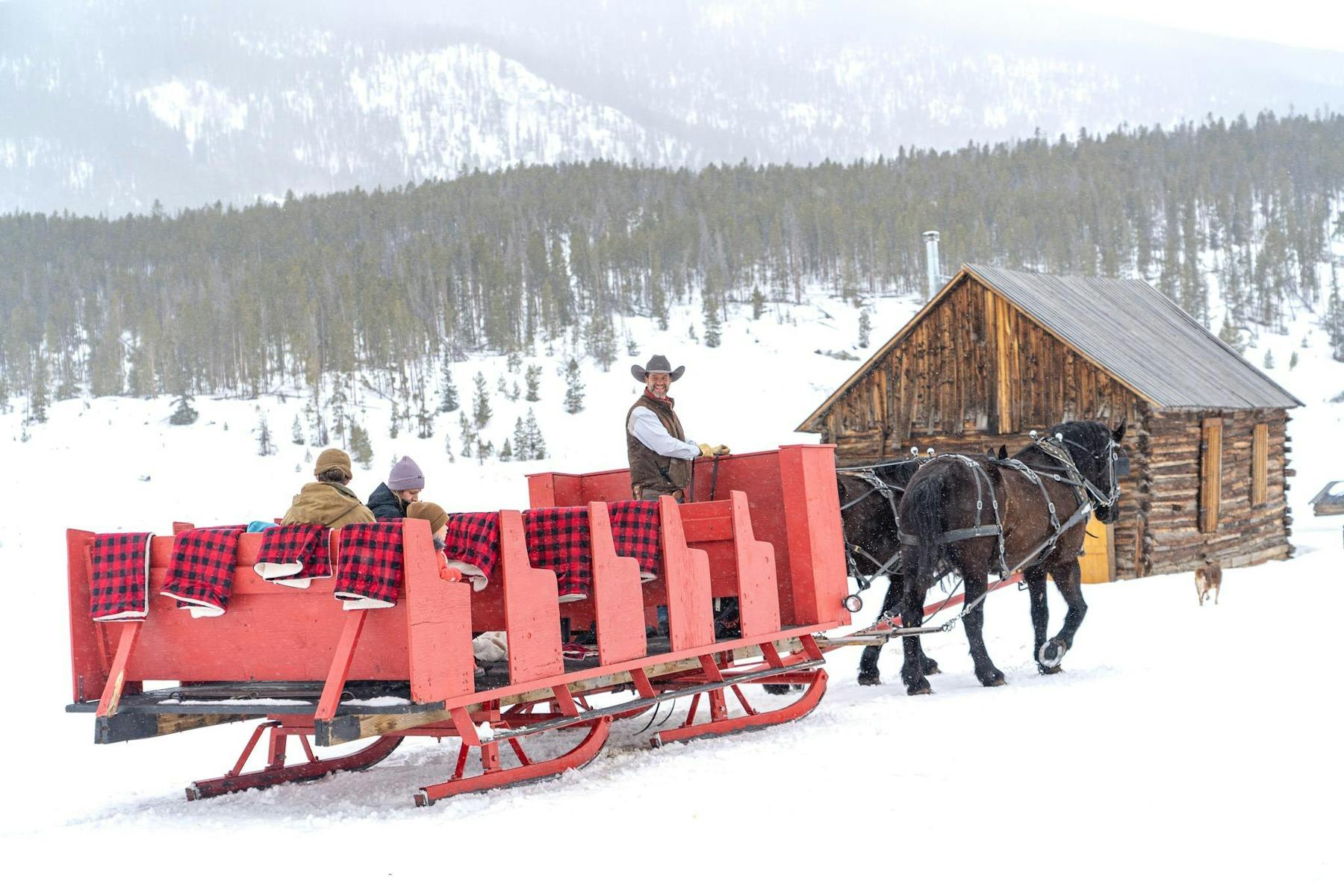 Keystone Stables Sleigh Rides - Keystone, CO | Tock